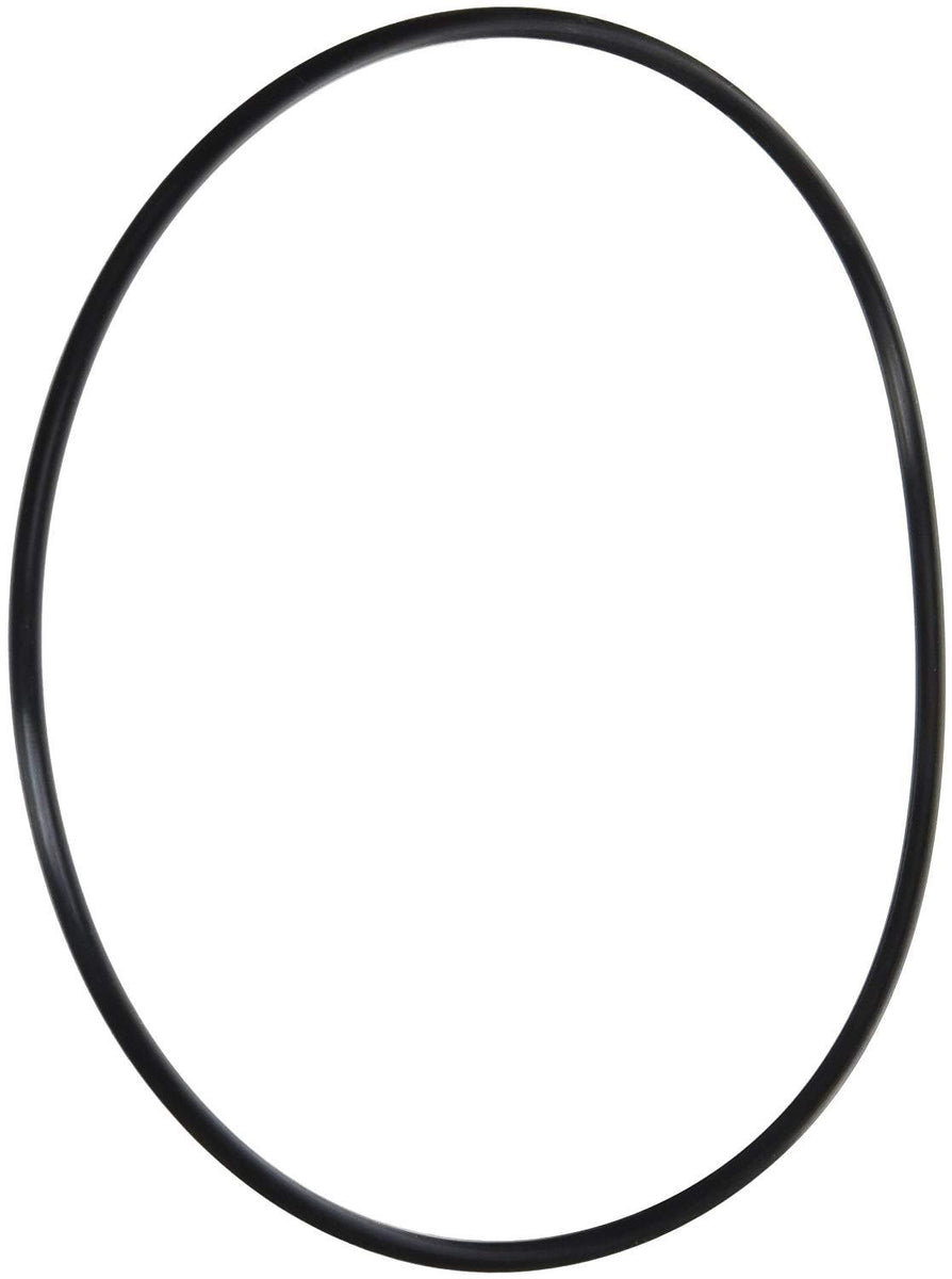 Compatible O-Ring for Pentair TR100 Triton II Filter – Home Moito