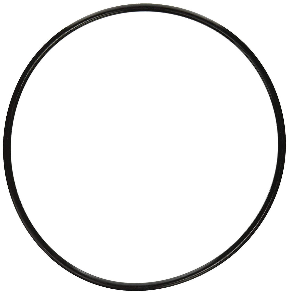 Compatible Body O-Ring for Pentair CC100 Clean & Clear/Predator Filter ...